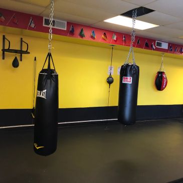 Welcome To The Pit - Gym/Fitness, Health/Weight Training